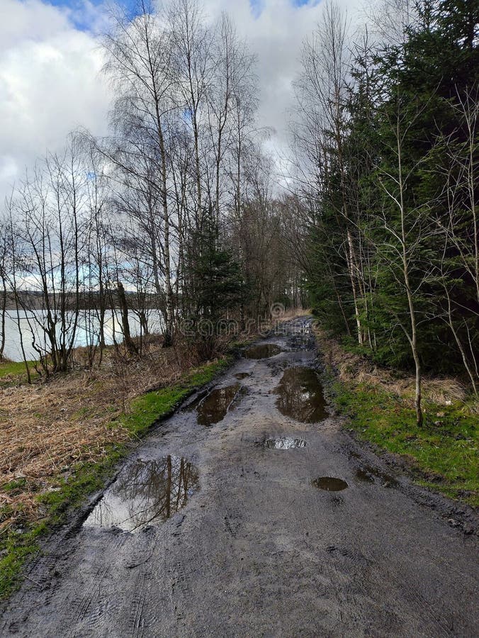 Mud Path in the Czech Highlands Stock Image - Image of highlands, grass ...