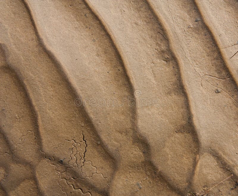 Mud pattern stock photo. Image of floods, clay, brown - 12525882