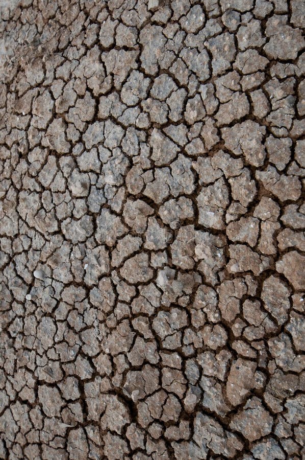 Mud pattern - vertical stock image. Image of muddy, environment - 24087681