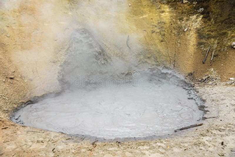 Fountain Paint Pot, Or Mud Pot, Yellowstone National Park Stock Photo ...