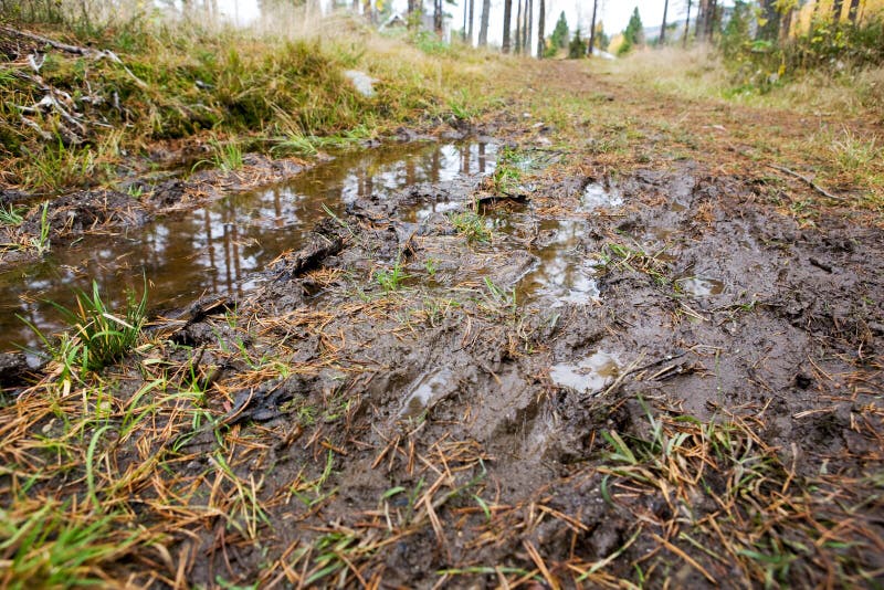 Mud Puddle stock image. Image of outdoor, dirty, nature - 6984967