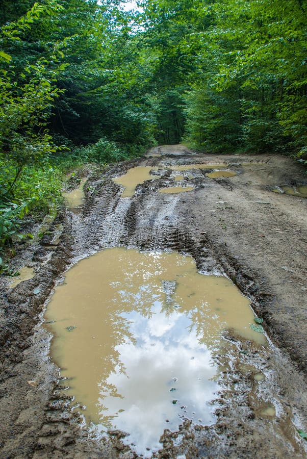 Muddy Field With A Puddle In The Fall Stock Photo - Image of light ...