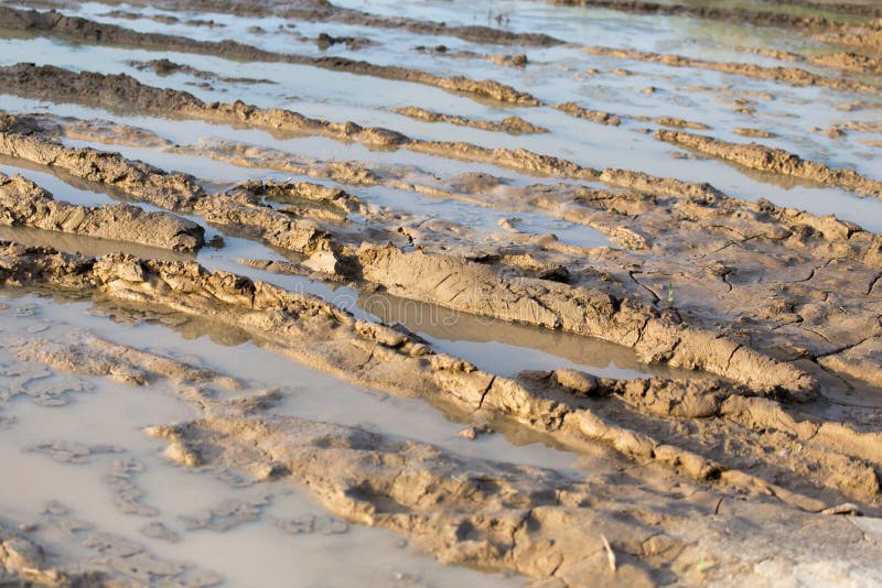 Mud puddle on a dirt road stock image. Image of pattern - 96880143
