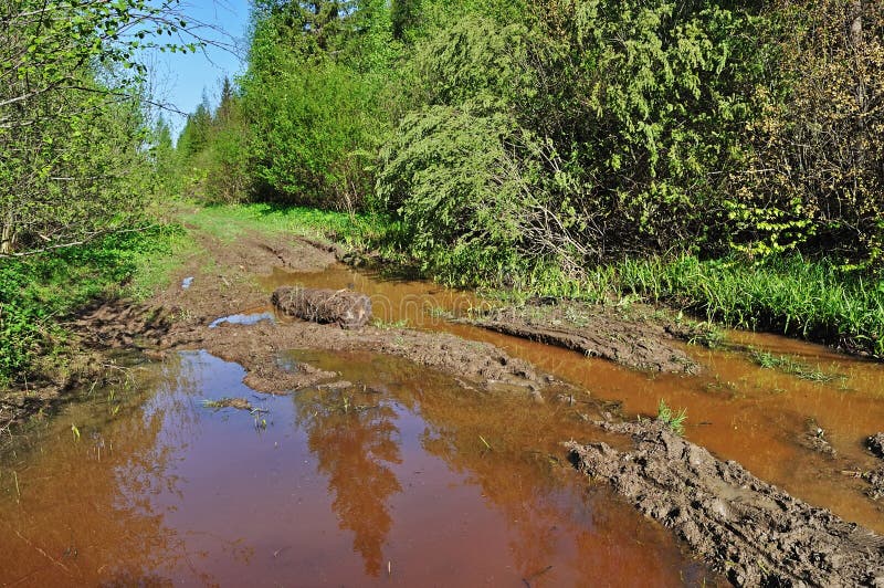 Mud Puddle On A Forest Road Stock Photo - Image of muddy, footprint ...