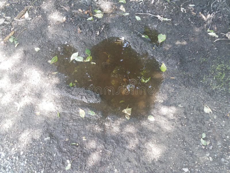 7,834 Puddle Ground Photos - Free & Royalty-Free Stock Photos from ...