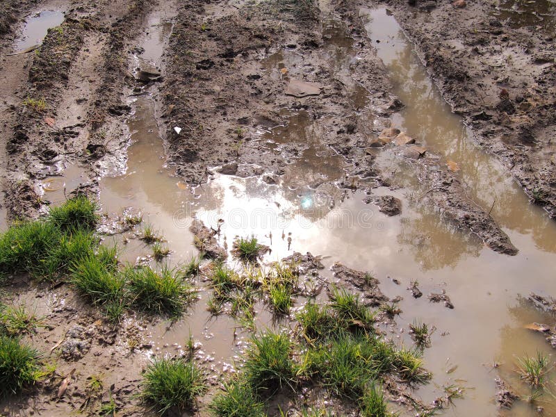 Mud Puddle after Heavy Rain in a Public Park Stock Image - Image of ...