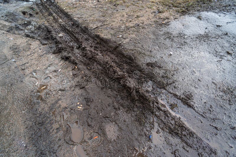 Protector Puddle Trail Stock Photos - Free & Royalty-Free Stock Photos ...