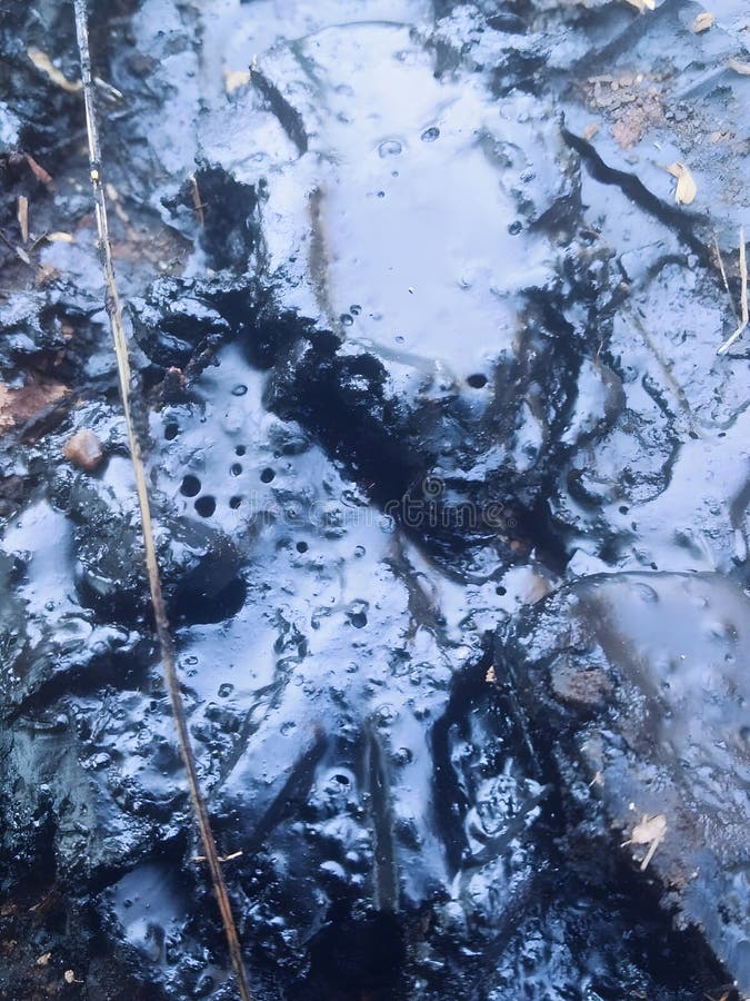 Mud Puddles in Palm Oil Fields Stock Image - Image of puddles, fields ...