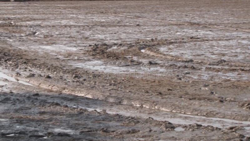 Mud in rice paddy stock video. Video of nature, agriculture - 210646877