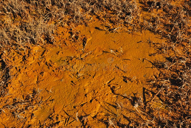 Mud river stock photo. Image of land, rural, spanish - 23486942