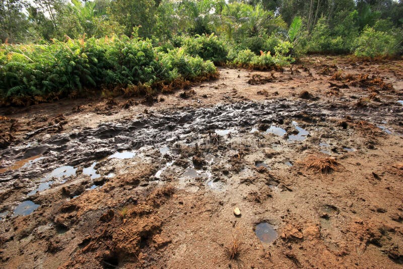 Mud road,offroad stock photo. Image of neglect, muddy - 54025054