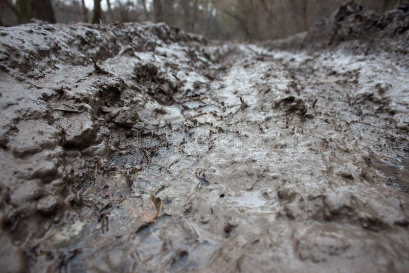 Mud on the road stock photo. Image of tree, soil, grass - 107397544