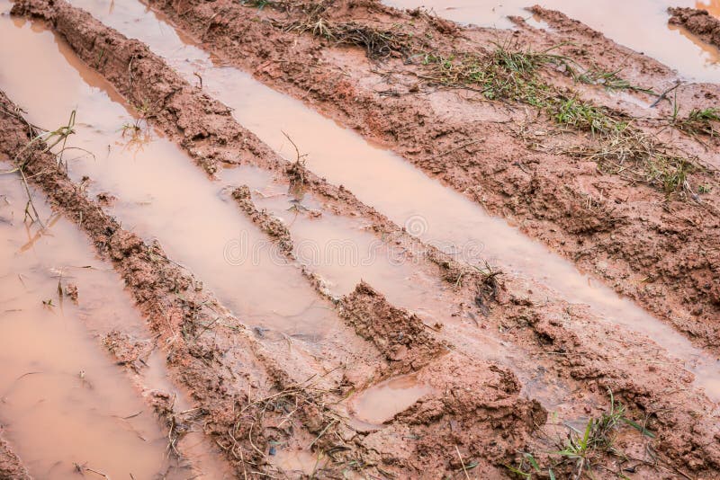 Mud road after the rain . stock image. Image of dark - 81665957