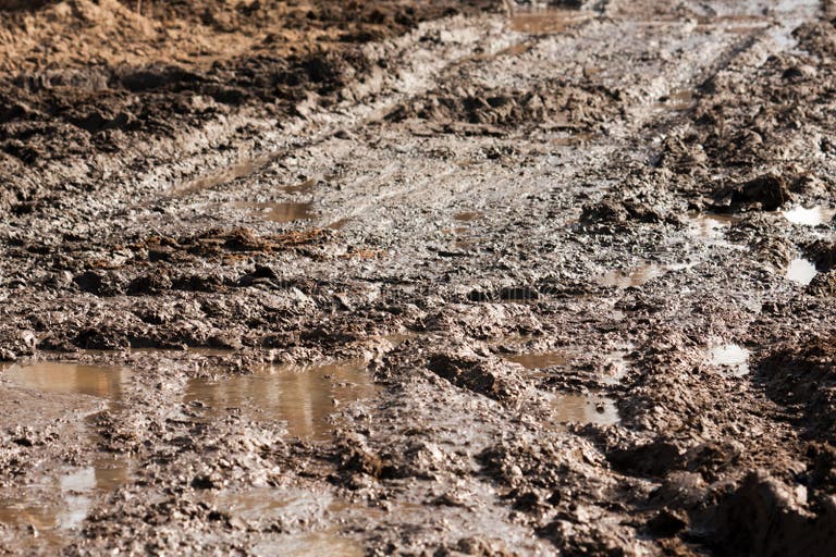 403,970 Mud Stock Photos - Free & Royalty-Free Stock Photos from Dreamstime
