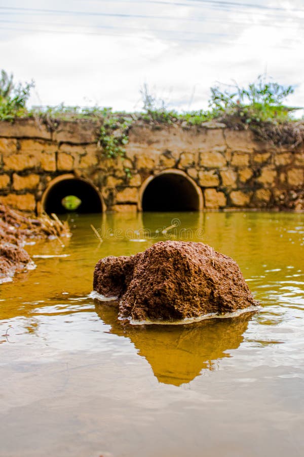 Mud rock in the pond stock photo. Image of reflection - 188273320