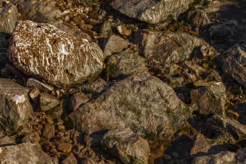 Mud on the rocks stock image. Image of dirt, shore, riverbank - 313917871