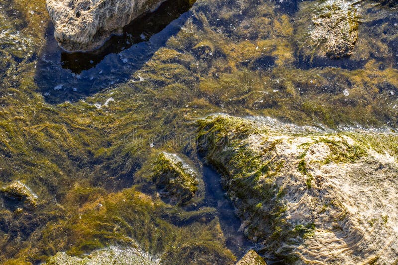 Mud on the rocks stock photo. Image of riverbank, freshwater - 313917888