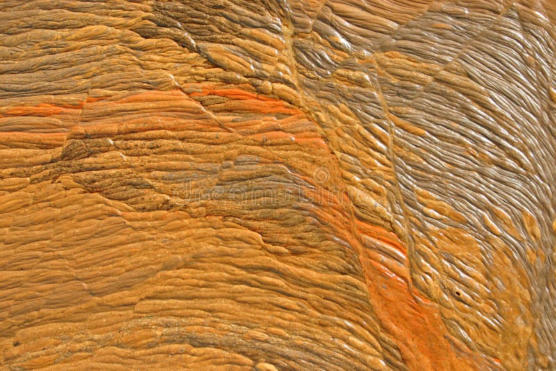 Mud Ropes stock photo. Image of silt, pattern, swirl - 26711458