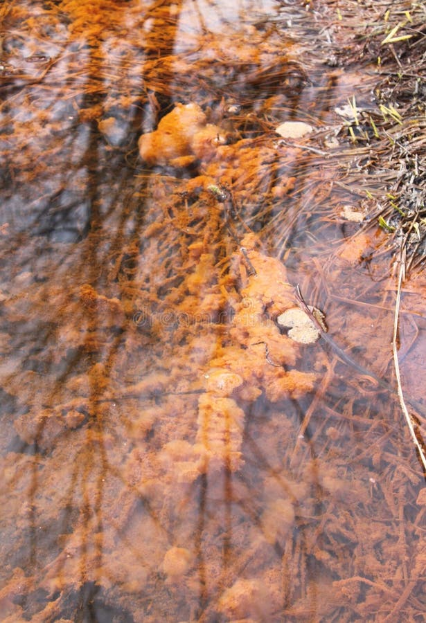 Mud and rust 2 stock photo. Image of rust, pond, look - 106479296