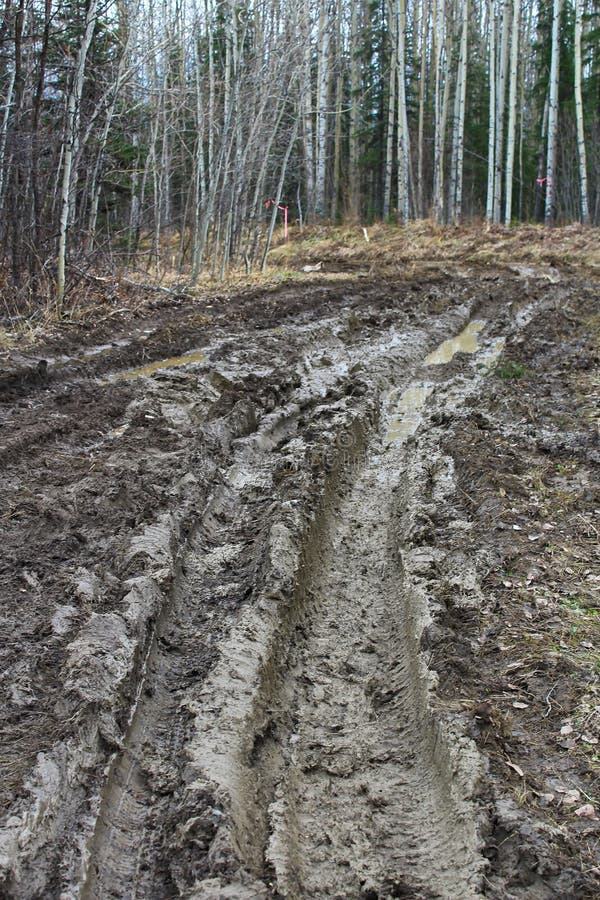 Deep mud and ruts. stock photo. Image of ruts, tire, water - 49946868