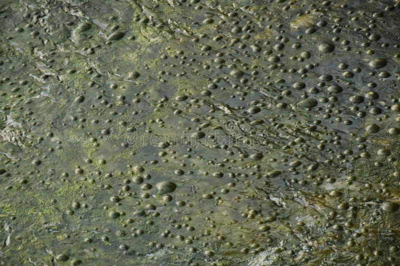 Mud and Sand in Low Tide Sea Background and Texture Stock Photo - Image ...