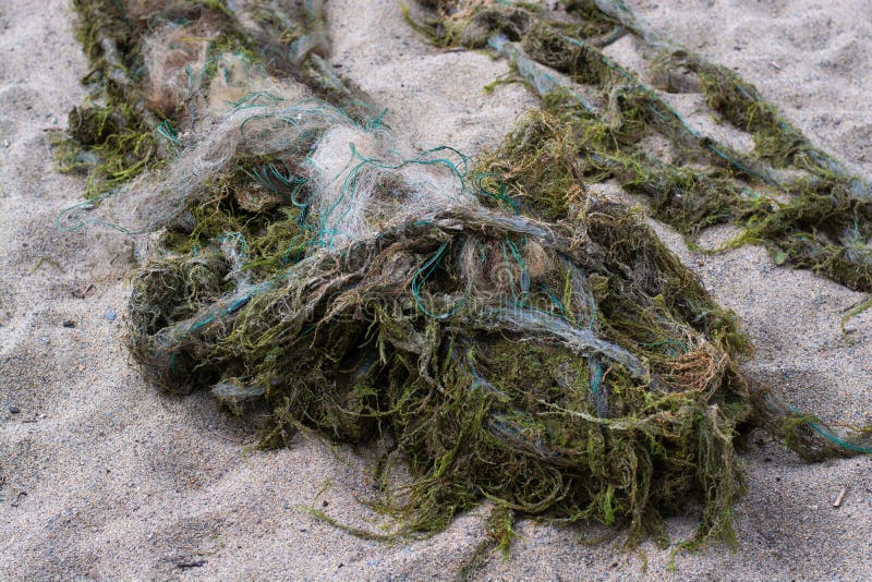 Mud on the Sandy Shore of the Lake Stock Photo - Image of light, gold ...