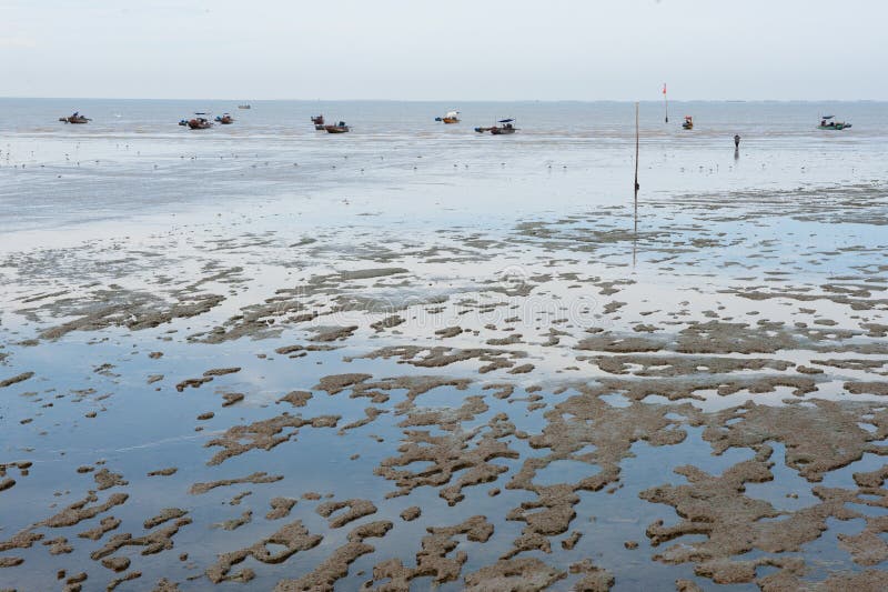 Mud Shore Seascape Wet Land. Stock Photo - Image of scene, sand: 76095834