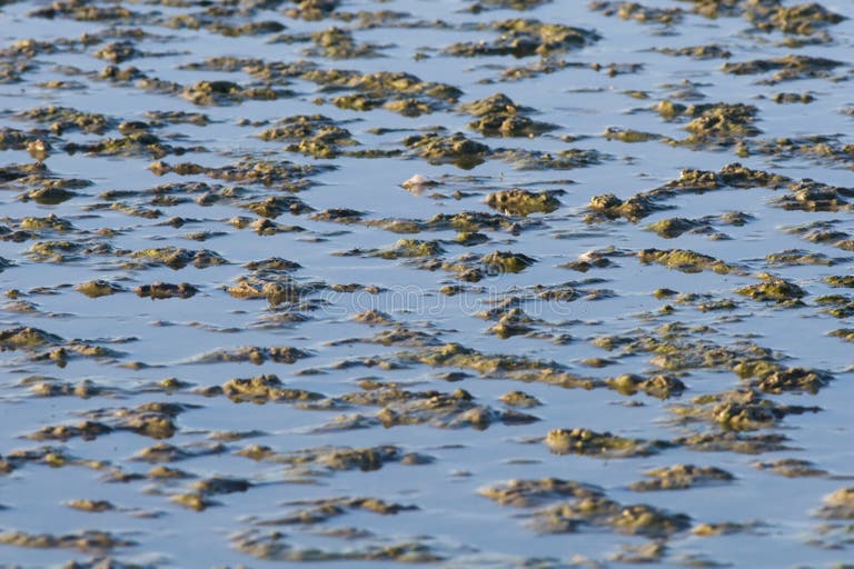 9,609 Silt Stock Photos - Free & Royalty-Free Stock Photos from Dreamstime