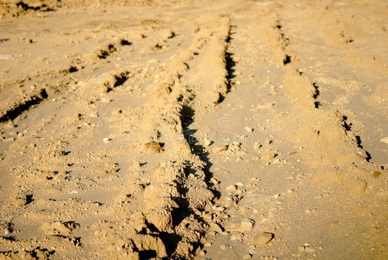 Mud and slush withered. stock image. Image of landscape - 94740995