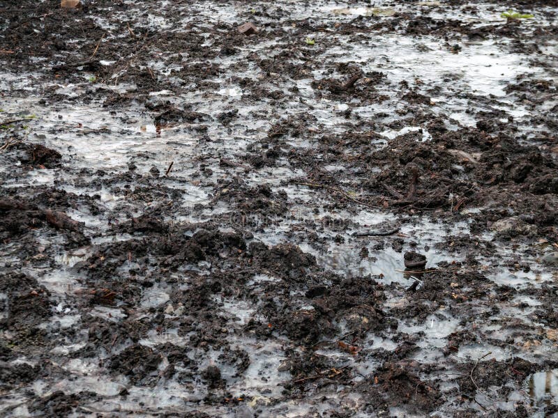 Mud and Snow. the Texture of the Earth Stock Image - Image of land ...