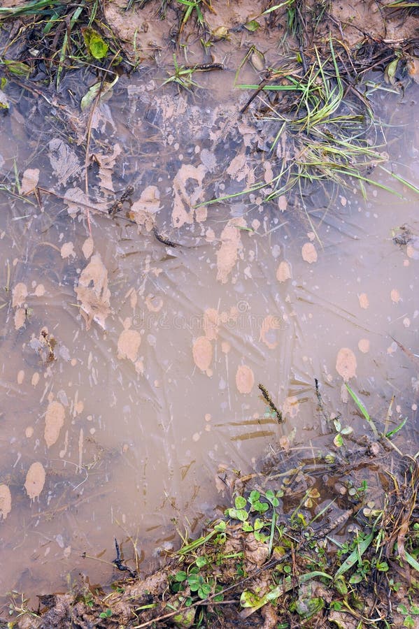 Mud splashes stock photo. Image of background, puddle - 78525770