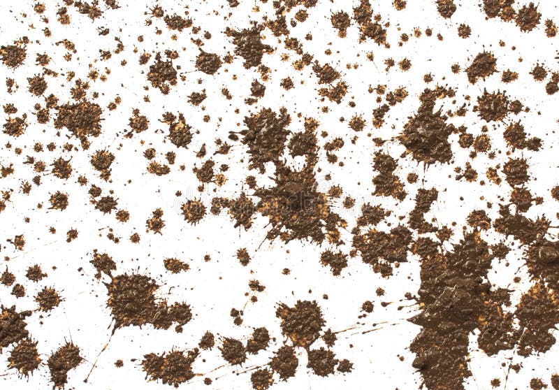 Mud Splashes on a White Backgrounds Stock Image - Image of dirty ...