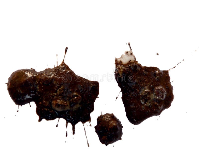 Mud splat stock photo. Image of natural, splat, dirty - 2648228