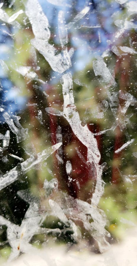 Mud splatters on a window stock photo. Image of nature - 182617086