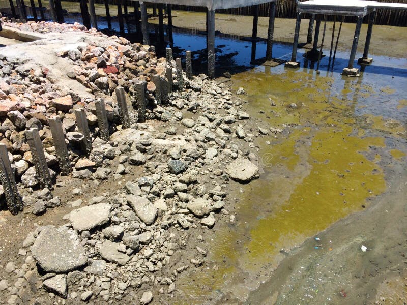 Mud Stone on the beach stock image. Image of landscape - 43424237