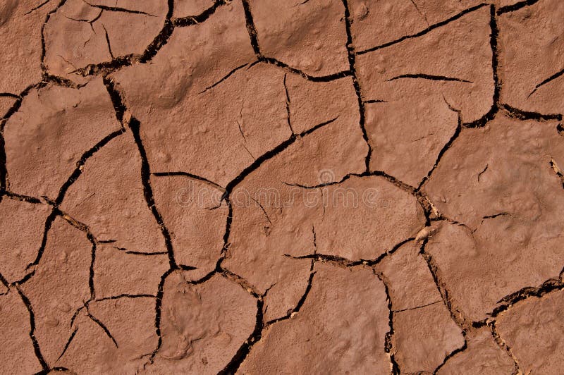 11,661 Wet Mud Texture Stock Photos - Free & Royalty-Free Stock Photos ...