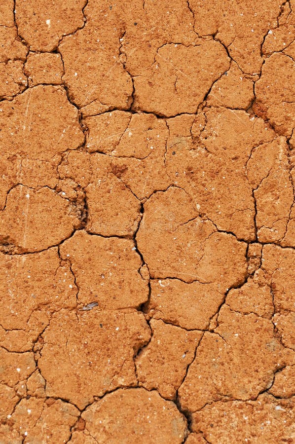 Mud texture stock image. Image of droughty, bare, earth - 22449229