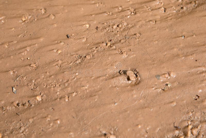 Mud Texture Background. Natural Disaster Stock Photo - Image of closeup ...