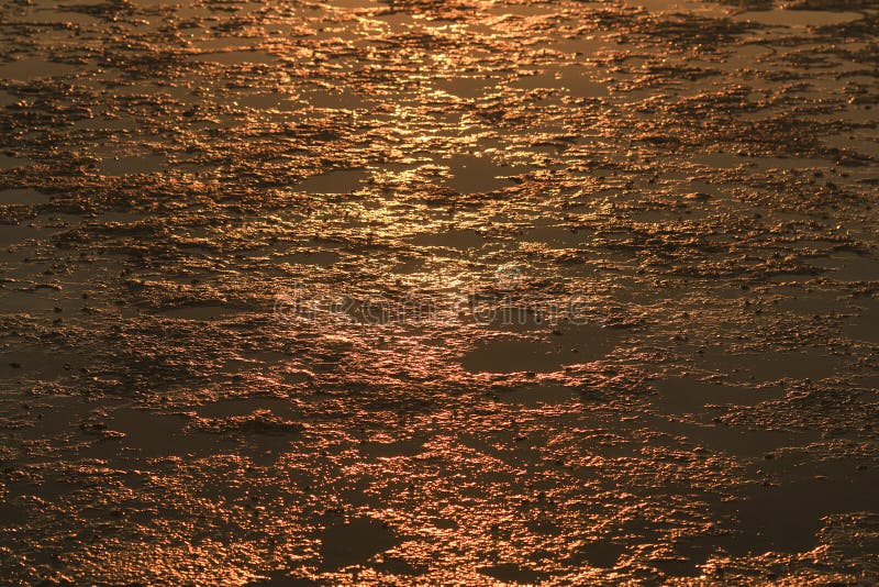 Mud Texture on the Beach with Dramatic Sunset Backlighting. Stock Image ...