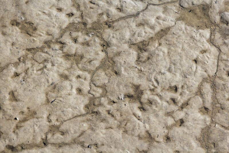 Mud Texture stock photo. Image of muddy, texture, grungey - 52572594