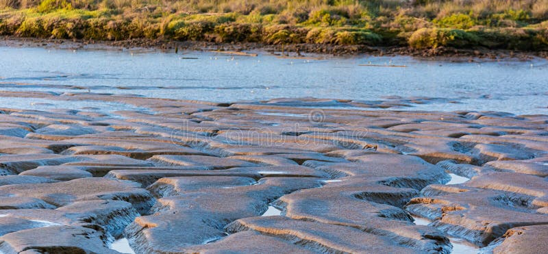 Mud Texture, River with Channels Stock Image - Image of nature, land ...