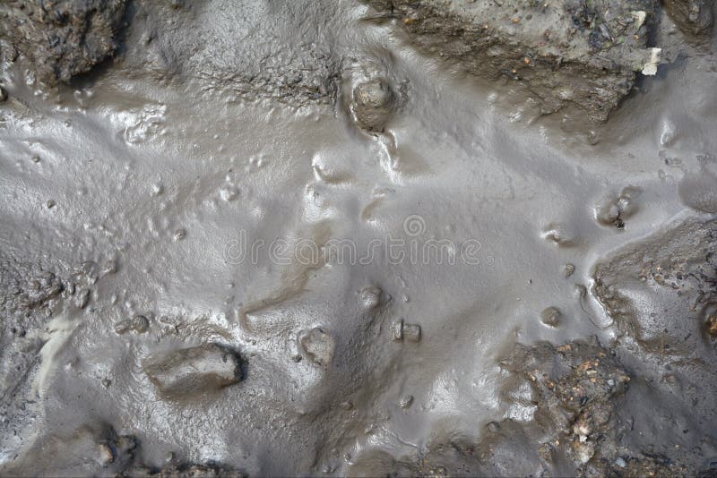 Mud Texture or Wet Gray Soil Stock Image - Image of geological ...