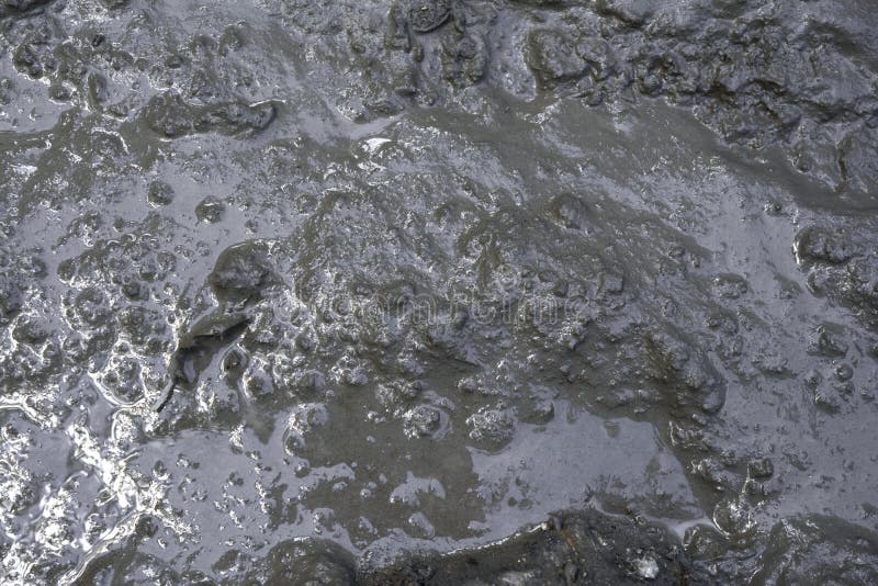Mud Texture or Wet Gray Soil Stock Image - Image of muddy, gray: 254391383