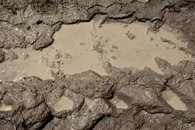 Mud Texture or Wet Gray Soil Stock Photo - Image of mess, organic ...