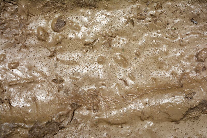 Mud Texture or Wet Gray Soil Stock Photo - Image of geological, muck: 254390304