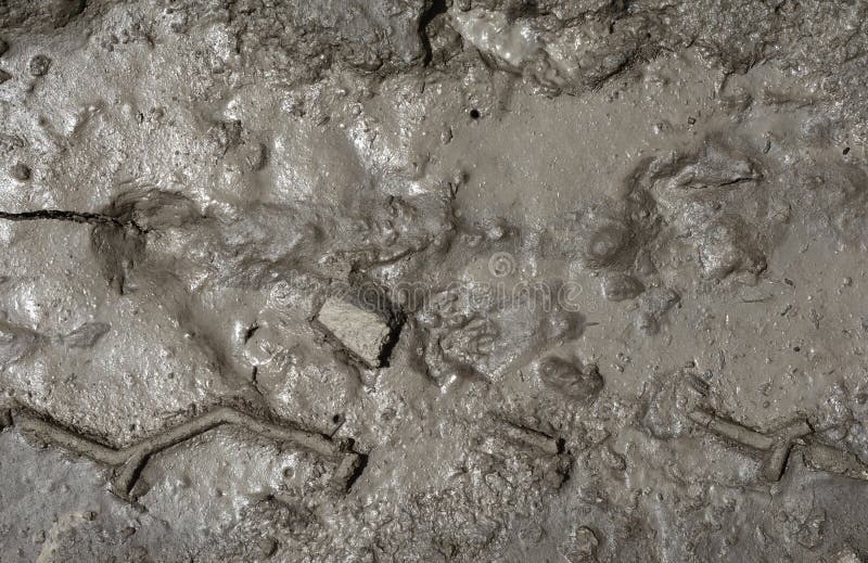 Mud Texture or Wet Gray Soil Stock Image - Image of muddy, gray: 254391383