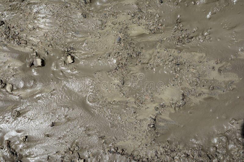 Mud Texture or Wet Gray Soil Stock Photo - Image of natural, damp ...