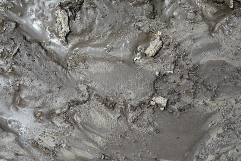 Mud Texture or Wet Gray Soil Stock Photo - Image of ground, mess: 254390720