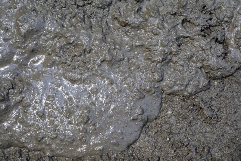 Mud Texture or Wet Gray Soil Stock Image - Image of road, quick: 254390965