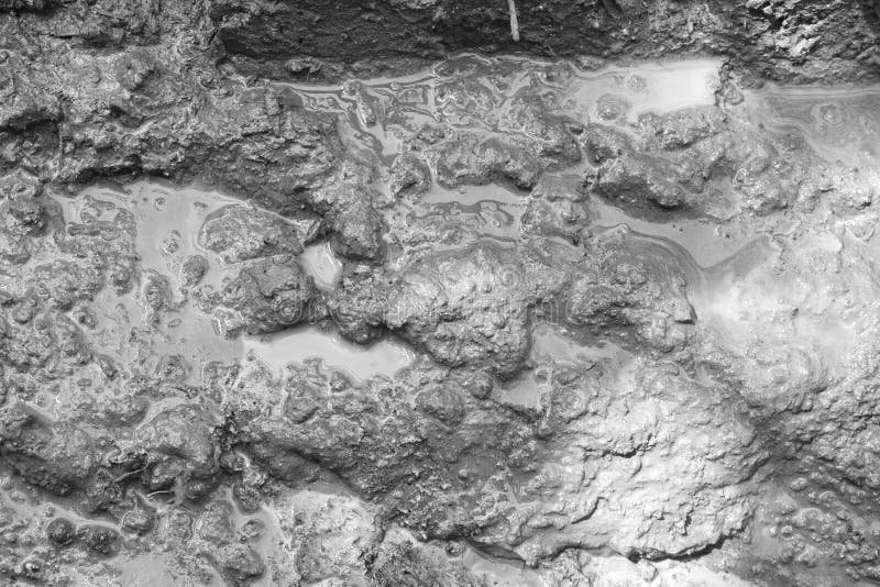 Mud Texture or Wet Gray Soil Stock Image - Image of muddy, gray: 254391383